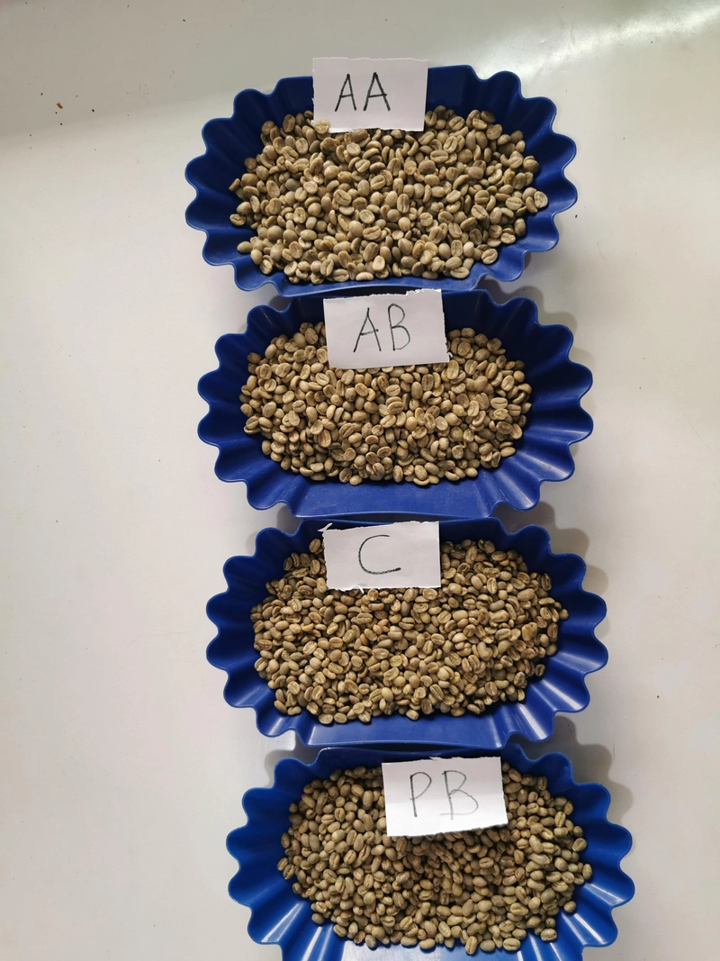 Comprar Kenya Arabica Coffee Grade MH Unwashed Sundried Mbuni Heavy ...