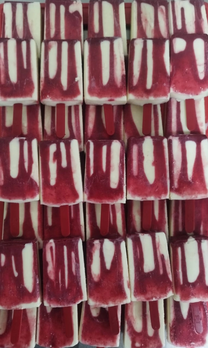 Buy Artisanal Ice Pops Natural Water Milk Refreshing Healthy Dessert ...