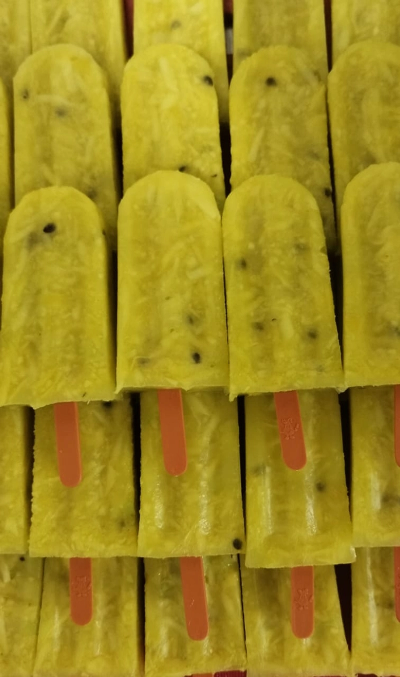 Buy Artisanal Ice Pops Natural Water Milk Refreshing Healthy Dessert ...