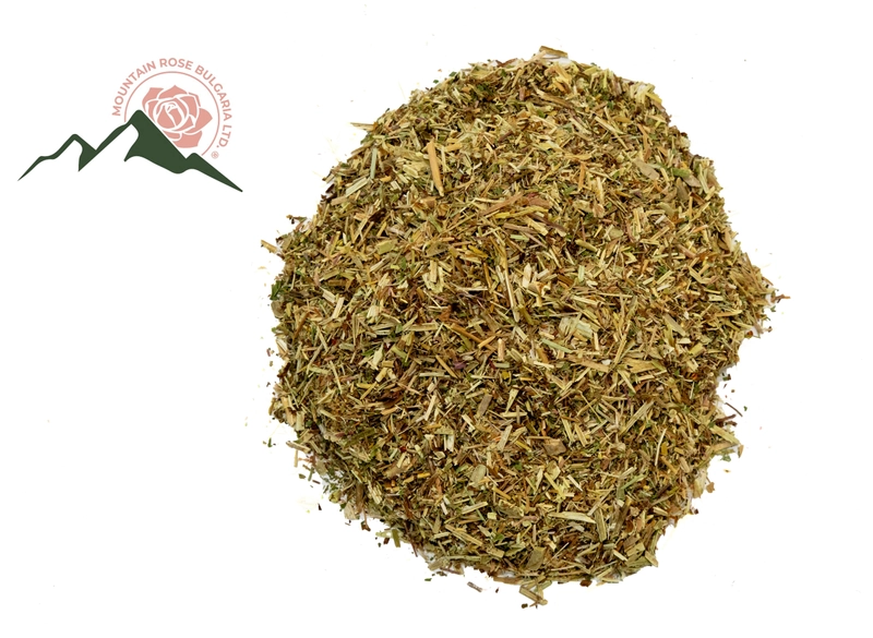 Buy Premium Dried Bulgarian Hoary Willowherb (Epilobium Parviflorum ...