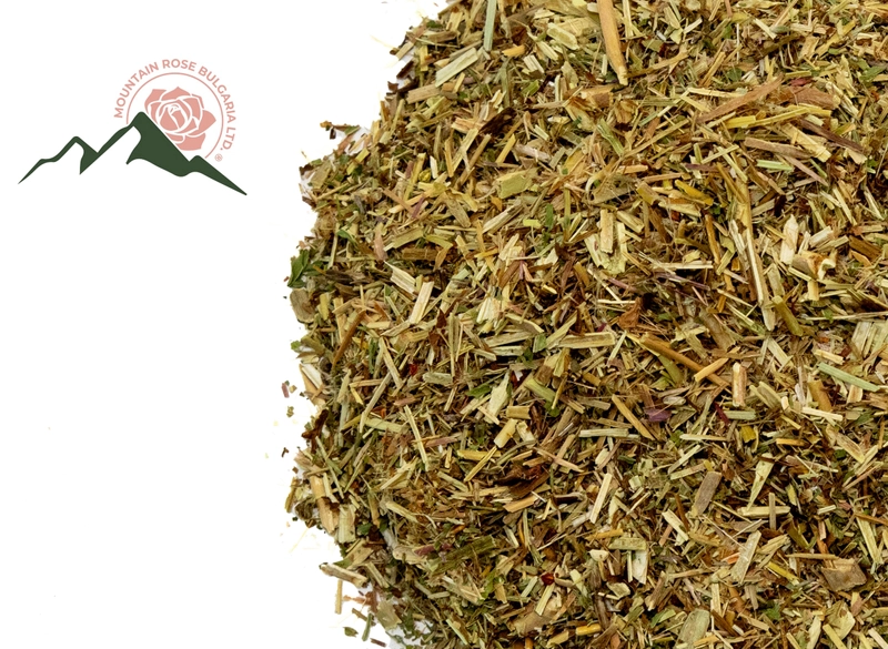 Buy Premium Dried Bulgarian Hoary Willowherb (Epilobium Parviflorum ...